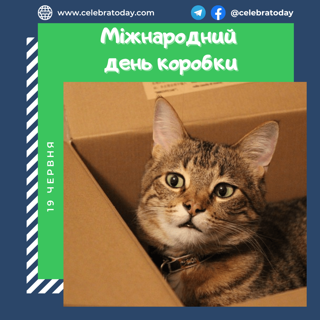 Международный день коробки - праздник 19 июня | celebratoday.com